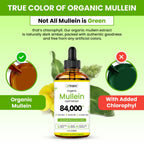 gerglam mullein tincture for easy breathing