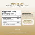 gflow Quercetin Phytosome easy-to-swallow capsules