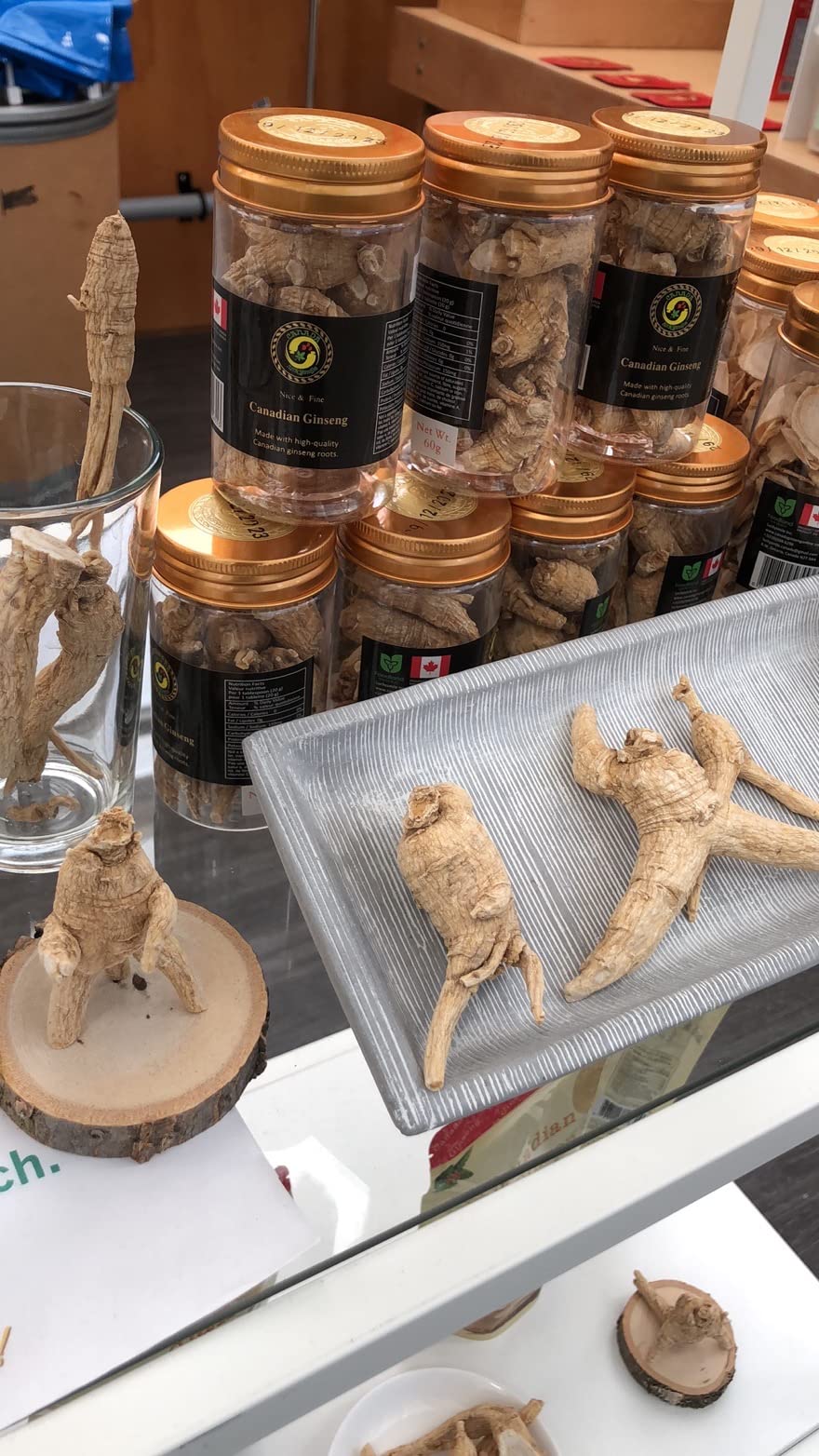 gift idea ginseng for family health
