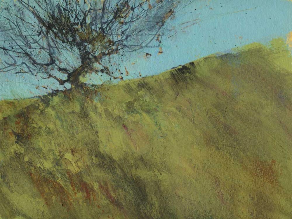 Gilfach Hawthorn poster for nature lovers