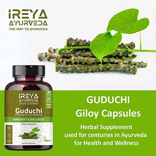 giloy capsules for daily health boost