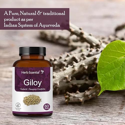 giloy for enhanced immune function