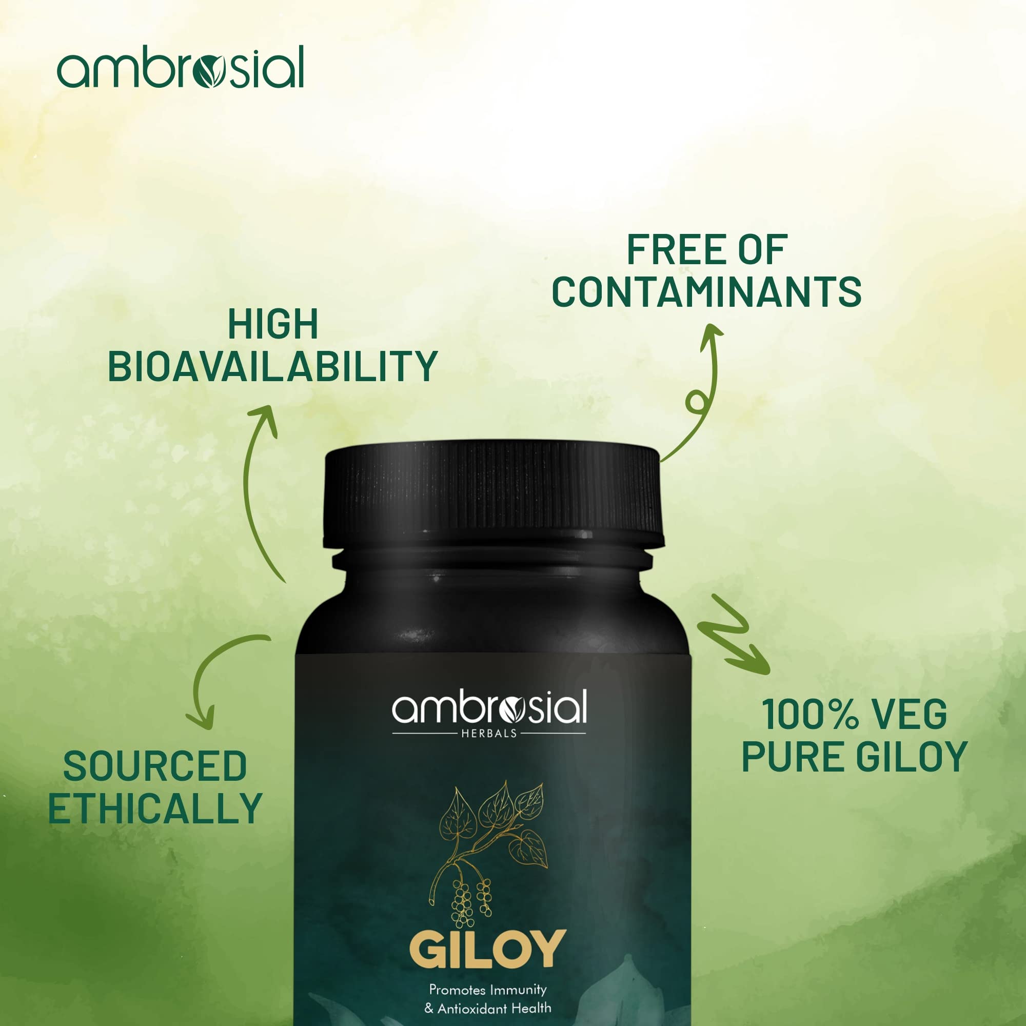 giloy ghanvati for holistic health