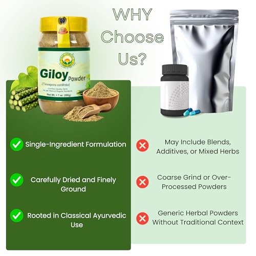 giloy juice for detoxification