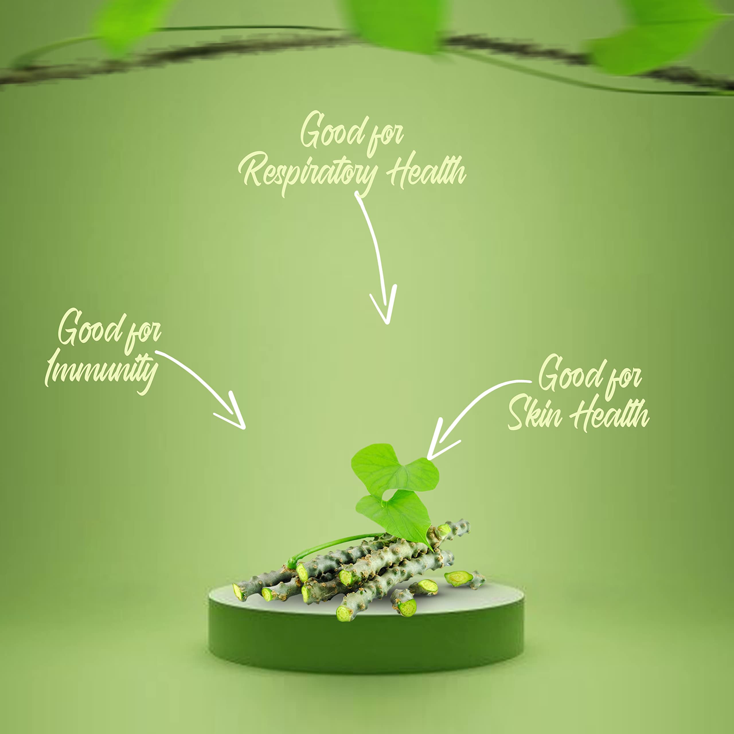 giloy juice for digestive support