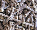 giloy plant benefits in Canada