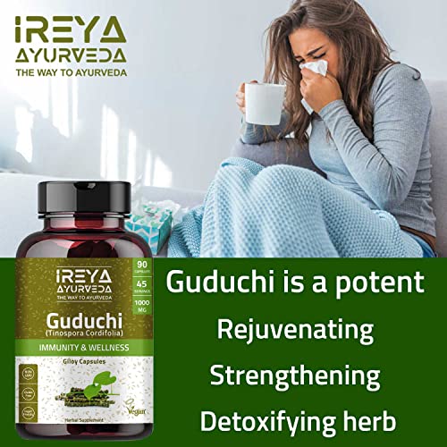 giloy plant extract for better immunity