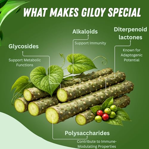 giloy plant extract for vitality