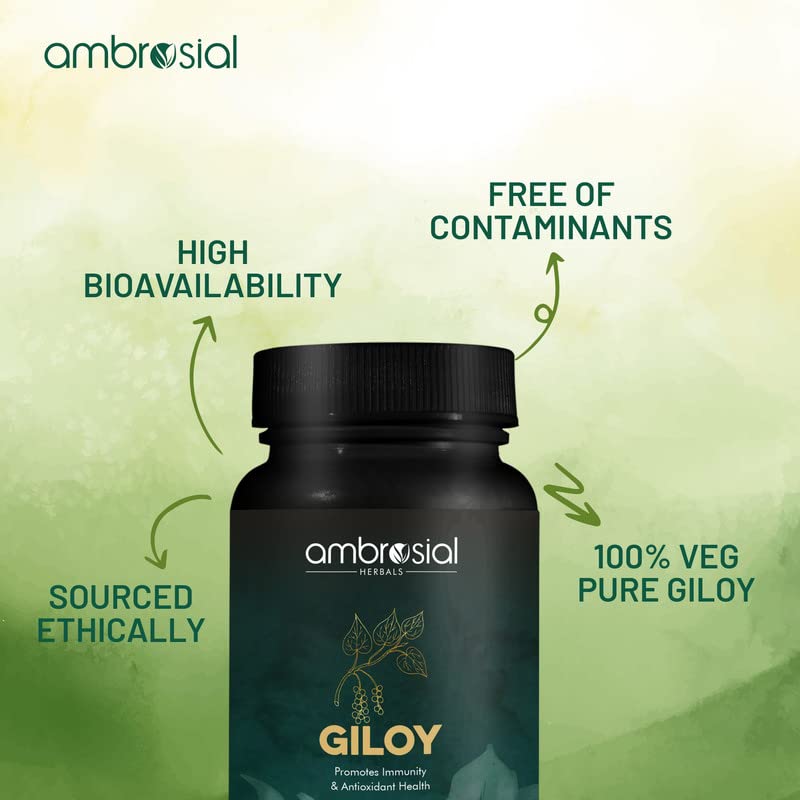 giloy powder for daily health