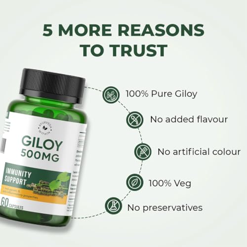 giloy powder for detoxification
