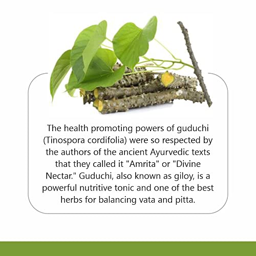 giloy powder for digestive health