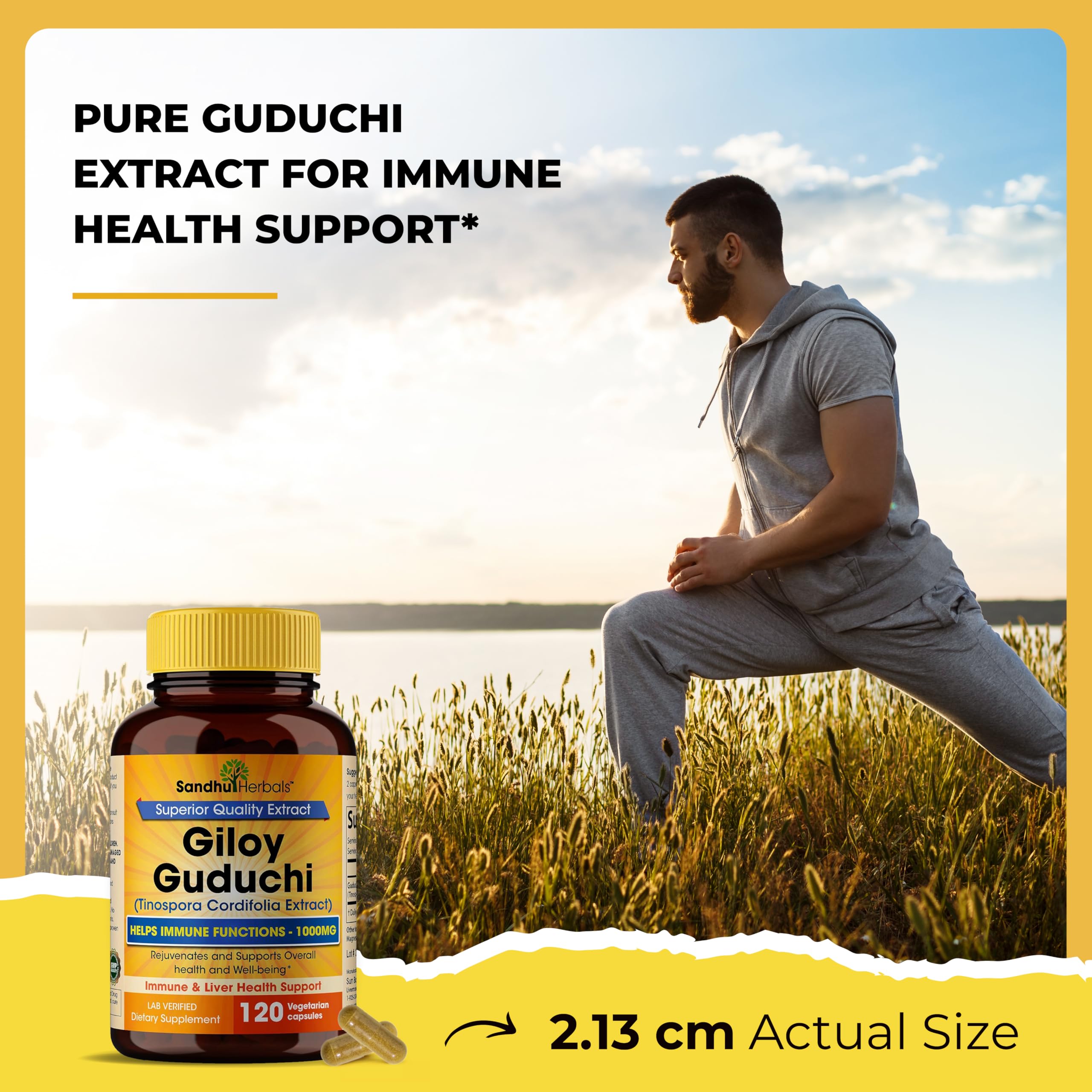 giloy powder for natural energy