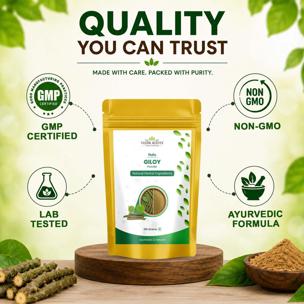 giloy powder for natural health solutions