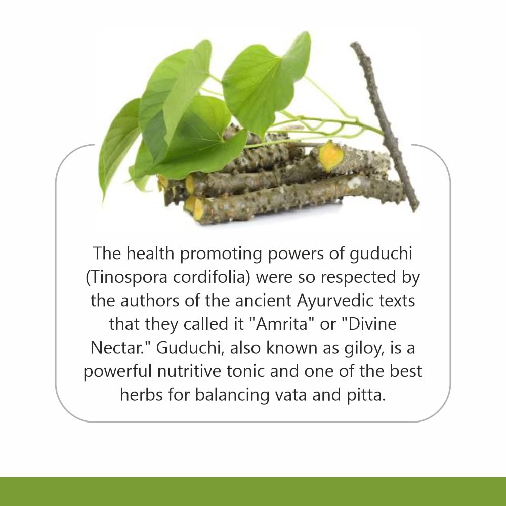 giloy powder for wellness