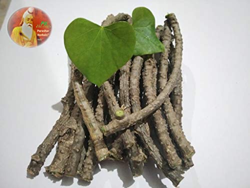 giloy stems for traditional remedies
