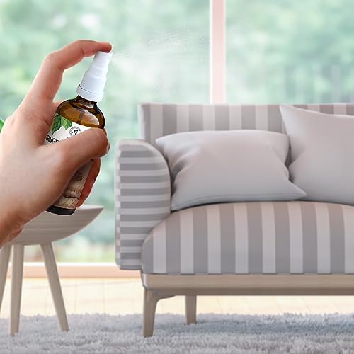 Ginger aroma for cozy spaces