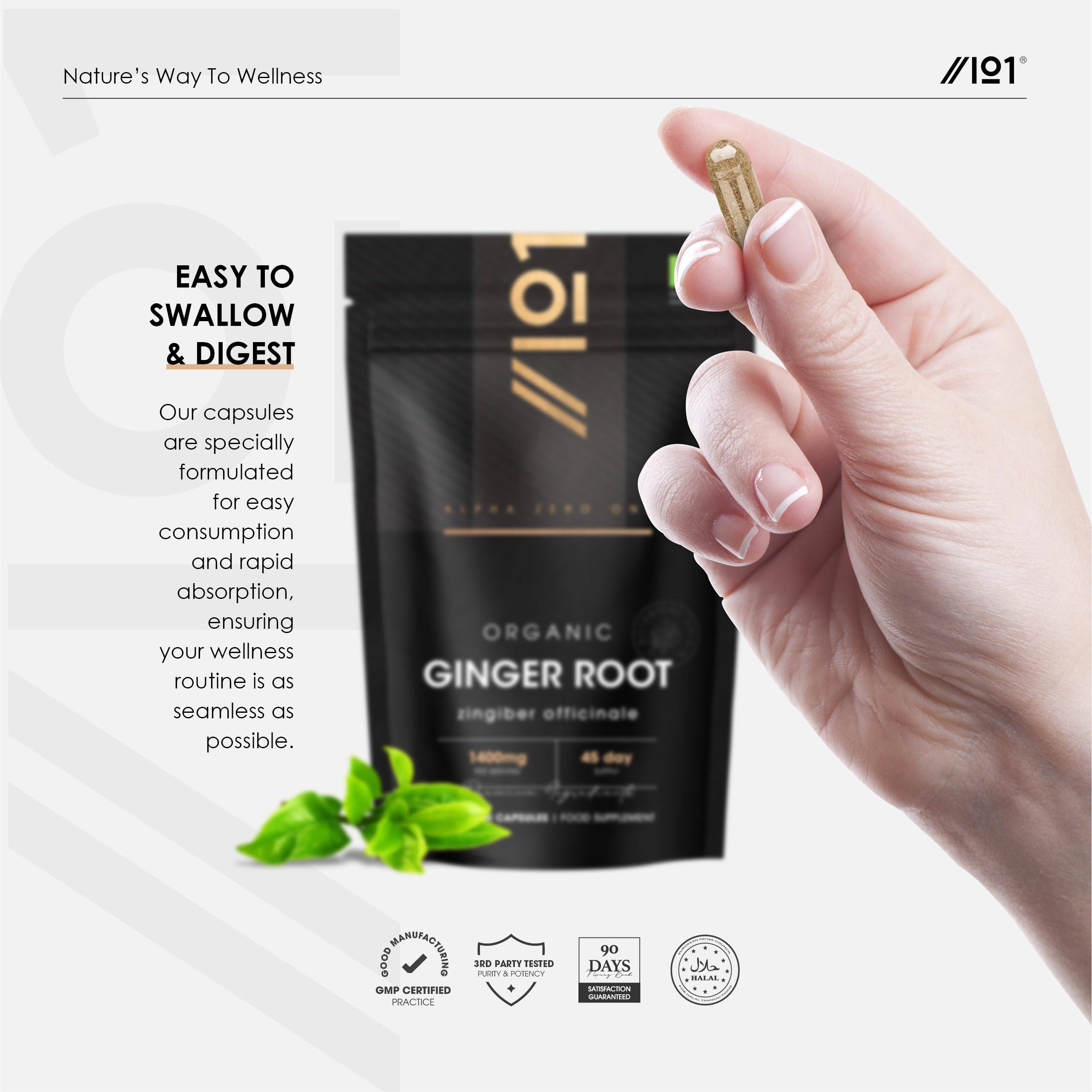ginger capsules for anti-inflammatory support