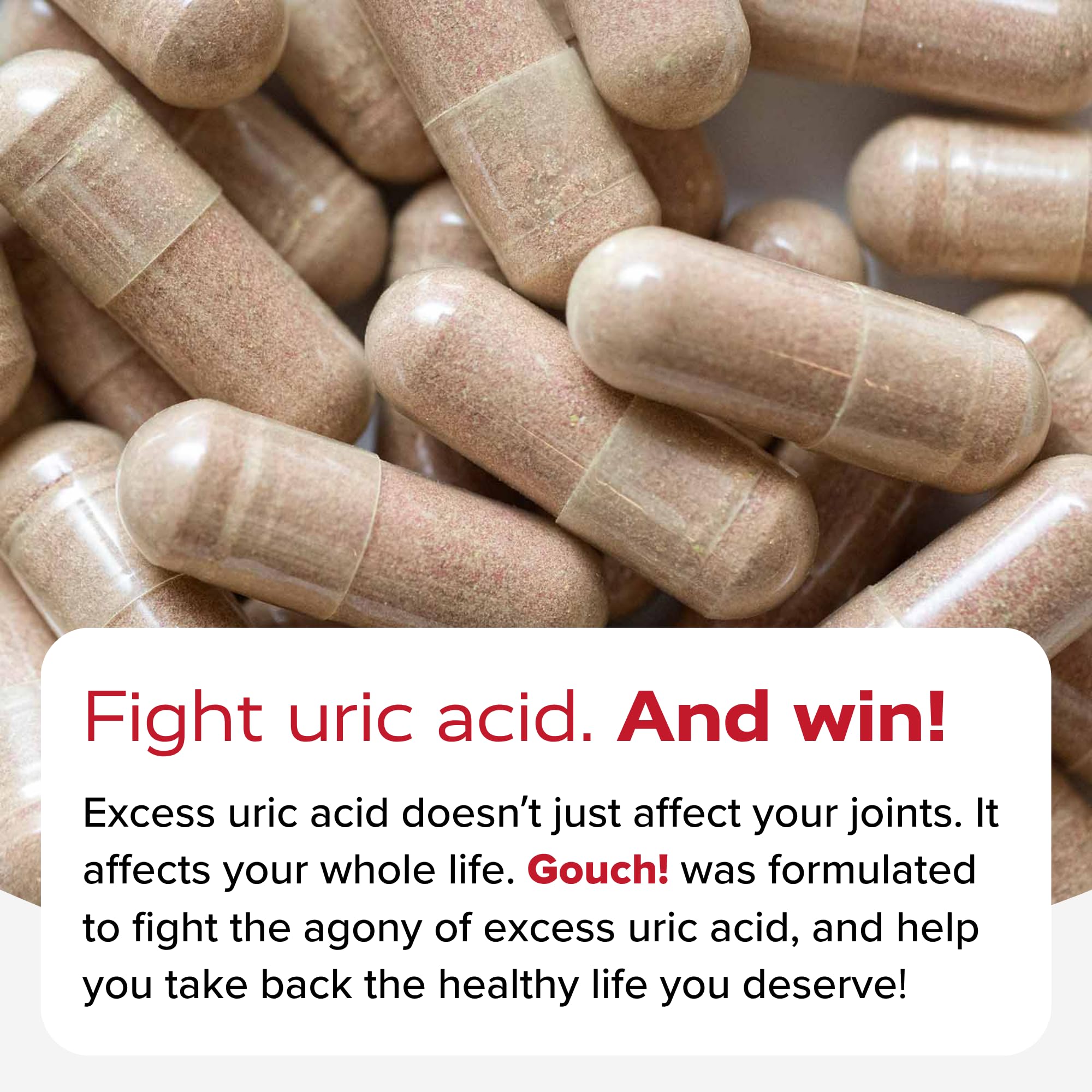 ginger capsules for daily health