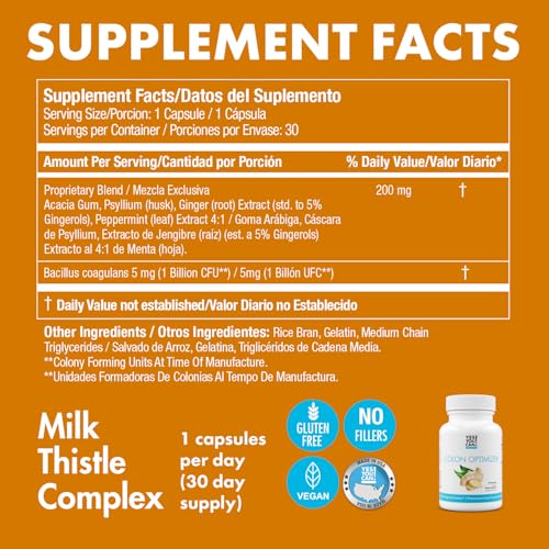 ginger capsules for daily health