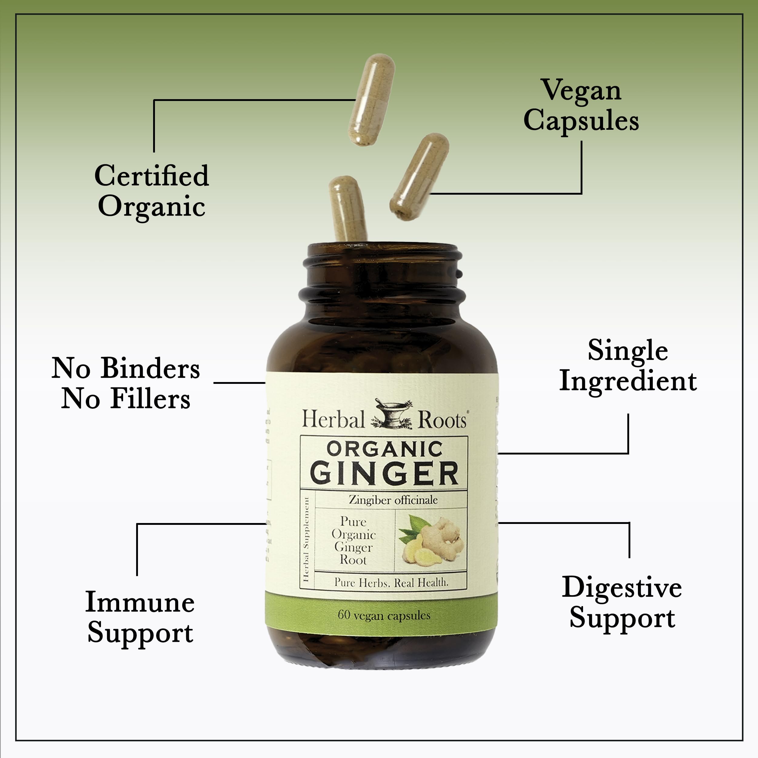 Ginger capsules for digestive comfort