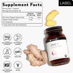 ginger extract enriched zinc capsules