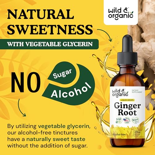 ginger extract for a healthy lifestyle
