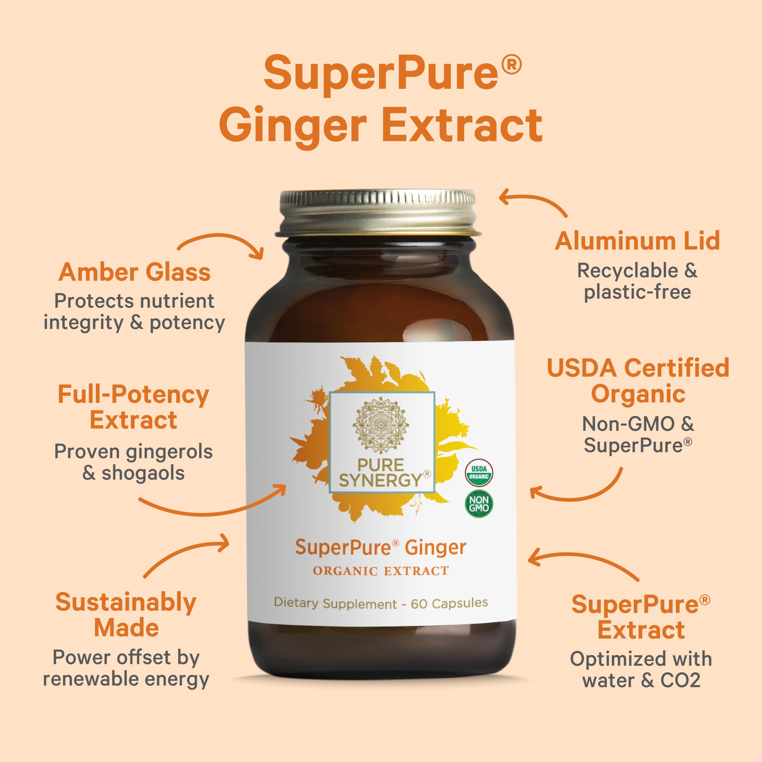 ginger extract for digestive comfort