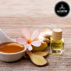 ginger extract for digestive support