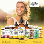ginger extract for healthy digestion