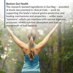Ginger extract for immune boost