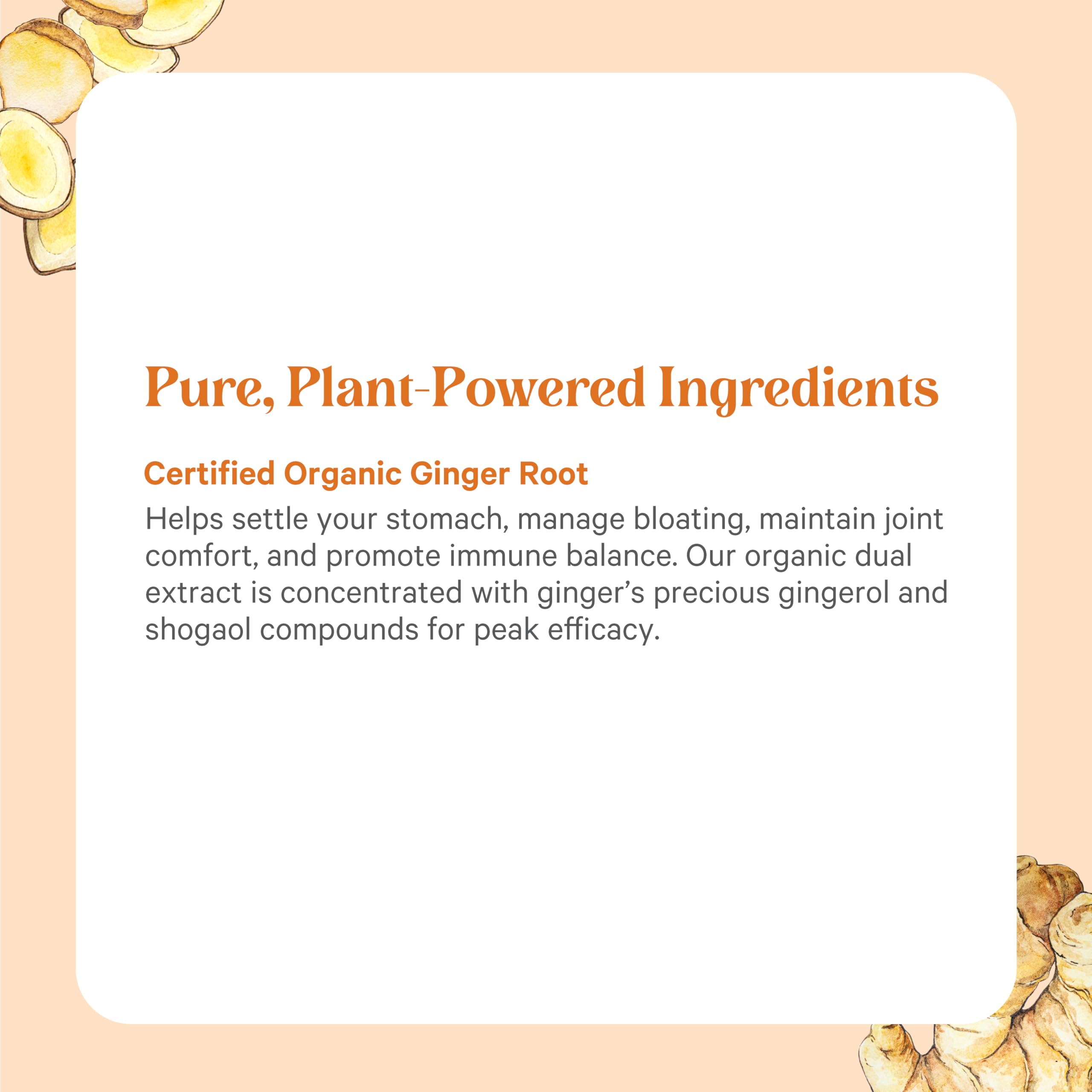 ginger extract for immune support