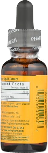 ginger extract for quick nausea support