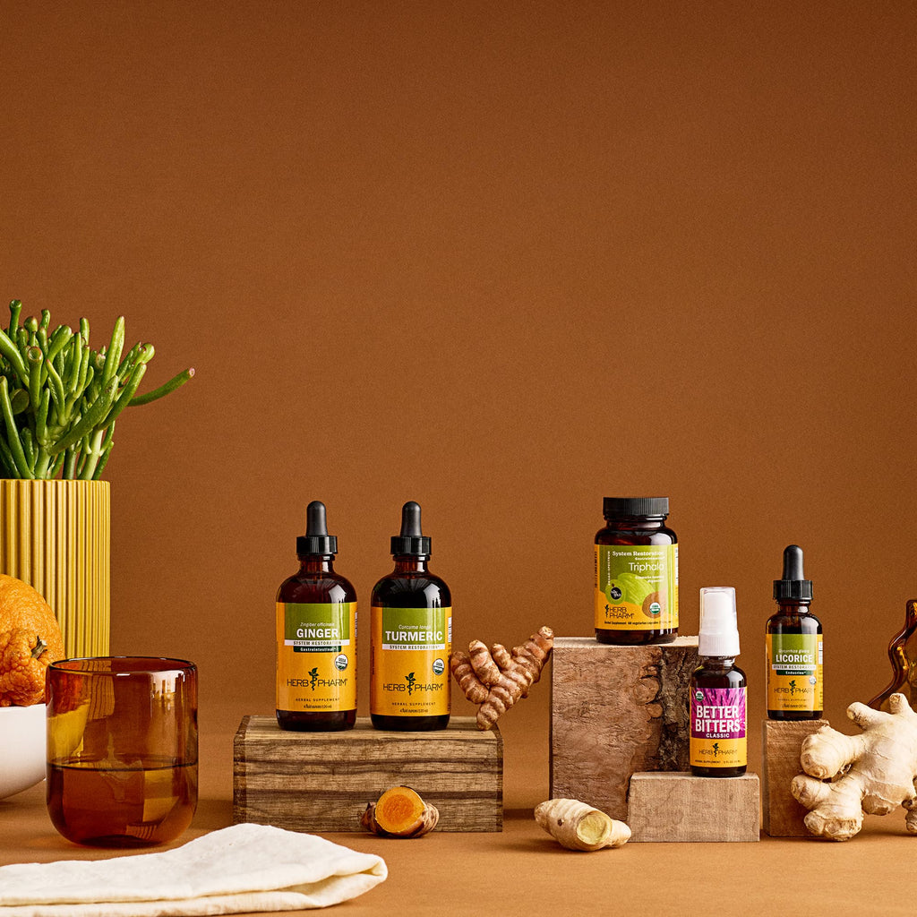 ginger extract for soothing digestion