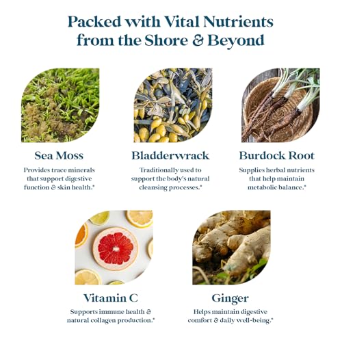ginger for digestive wellness