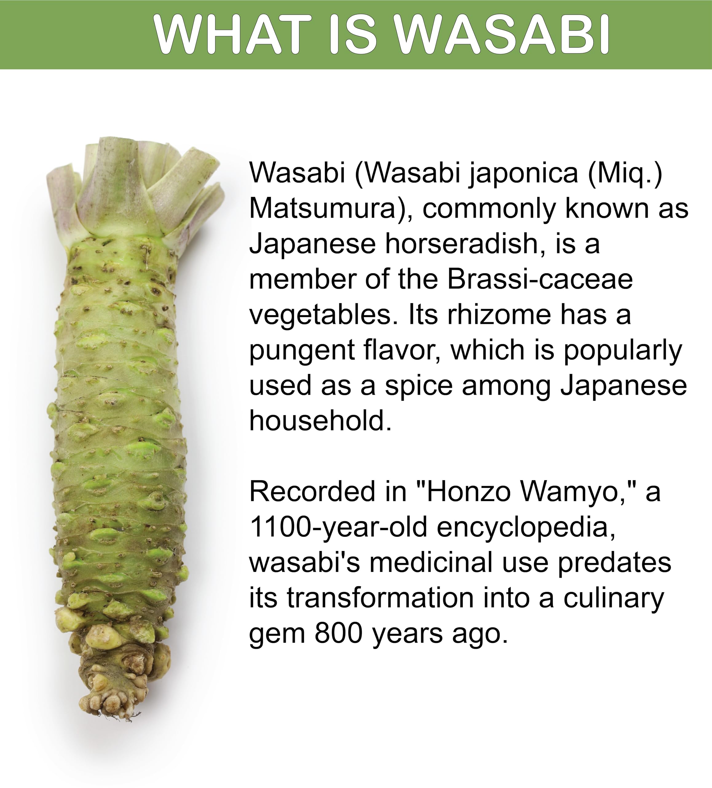 Ginger for everyday wellness