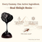 Ginger honey flavoured Shilajit