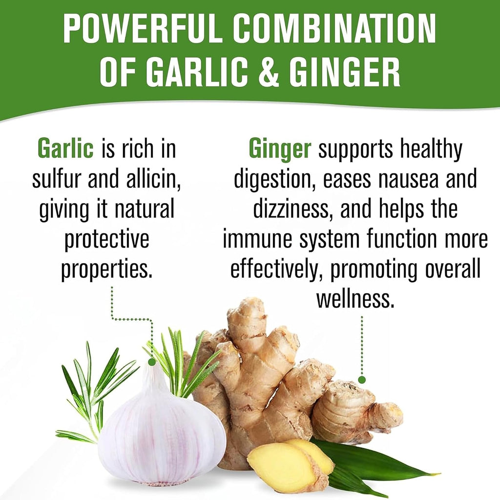 Ginger infused garlic for immune support