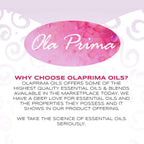 ginger oil for soothing aromas