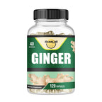 ginger root capsules for digestion