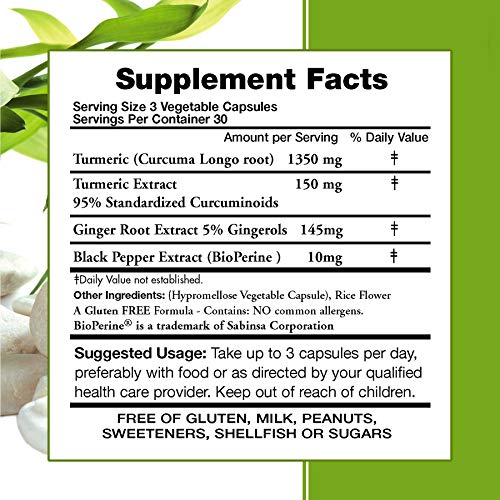 ginger root extract benefits