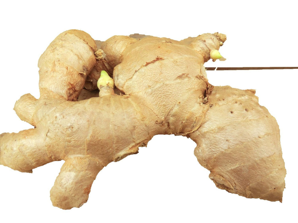 ginger root for herbal infusions