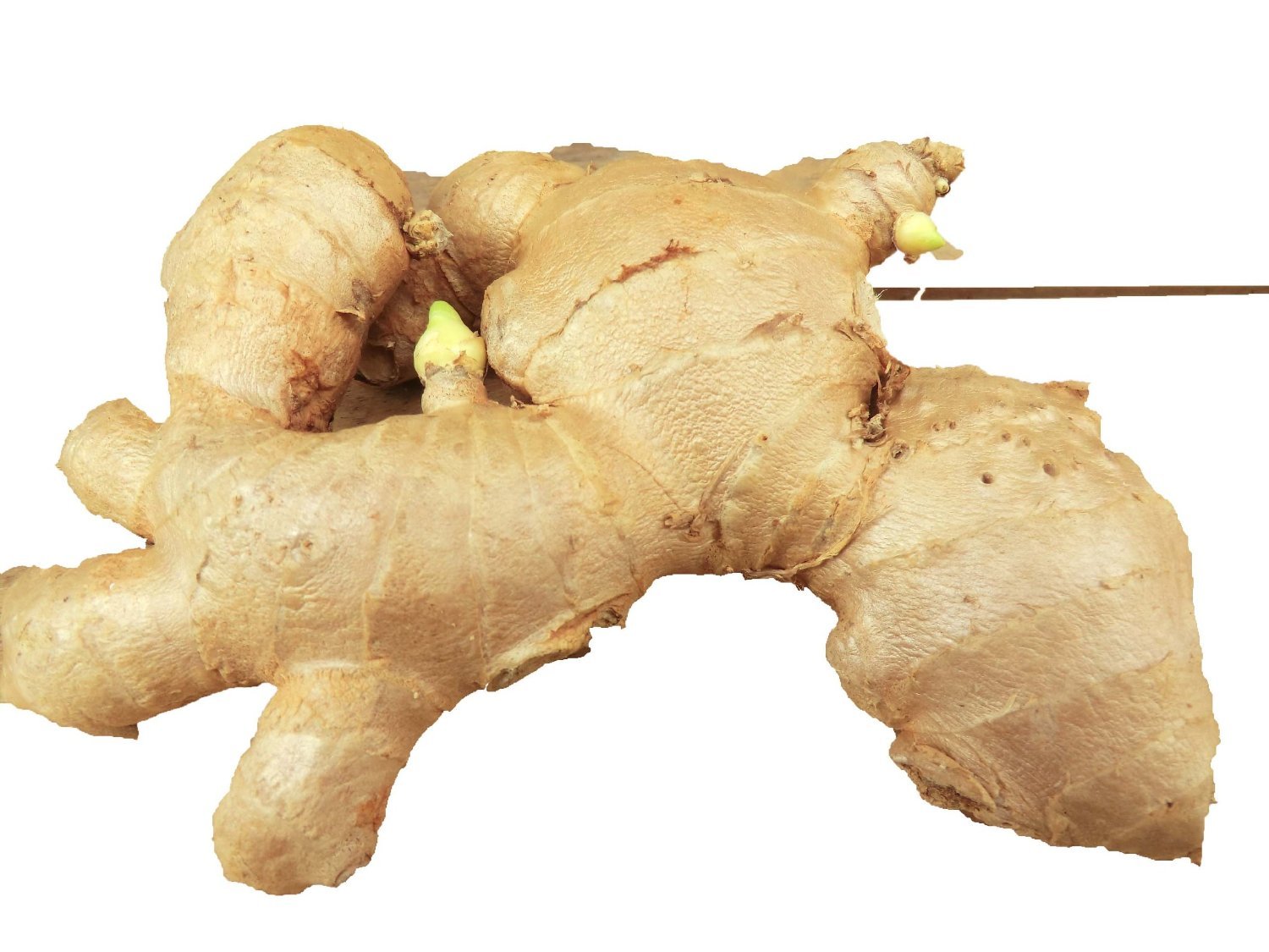 ginger root for herbal infusions