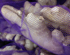 ginger root for soothing tea