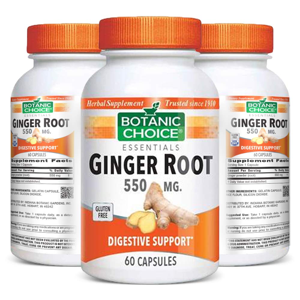 ginger root supplement for digestion