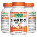 ginger root supplement for digestion