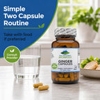 Ginger supplement for daily vitality