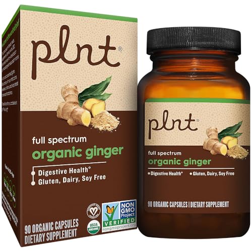 ginger supplements for digestive health