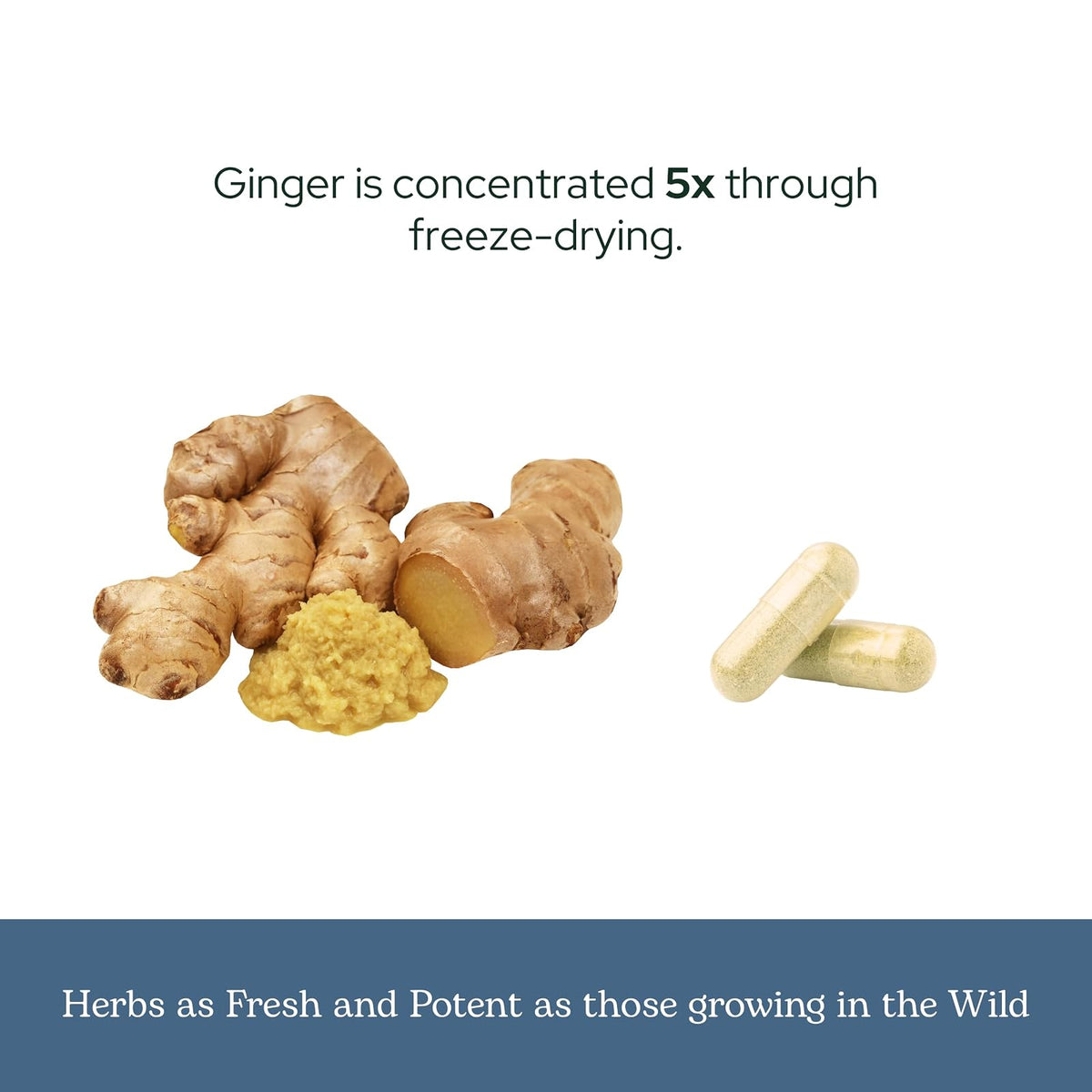Ginger tea alternative in capsule form