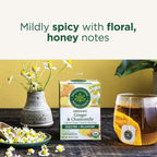 ginger tea bags for digestive health