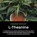 Ginger tea blend for vitality